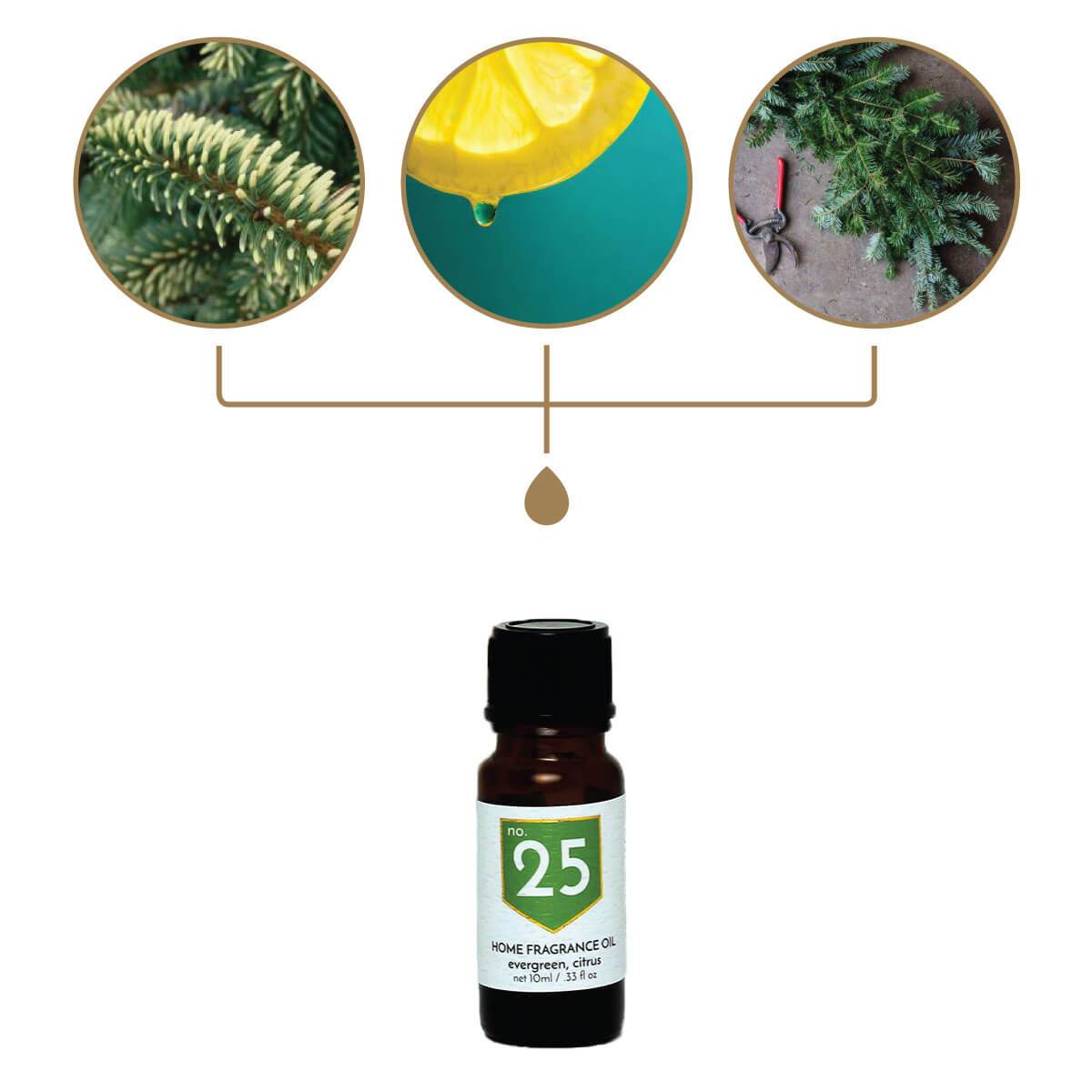 Pine Tree Needles Home Fragrance Oil | ACDC Home Fragrances